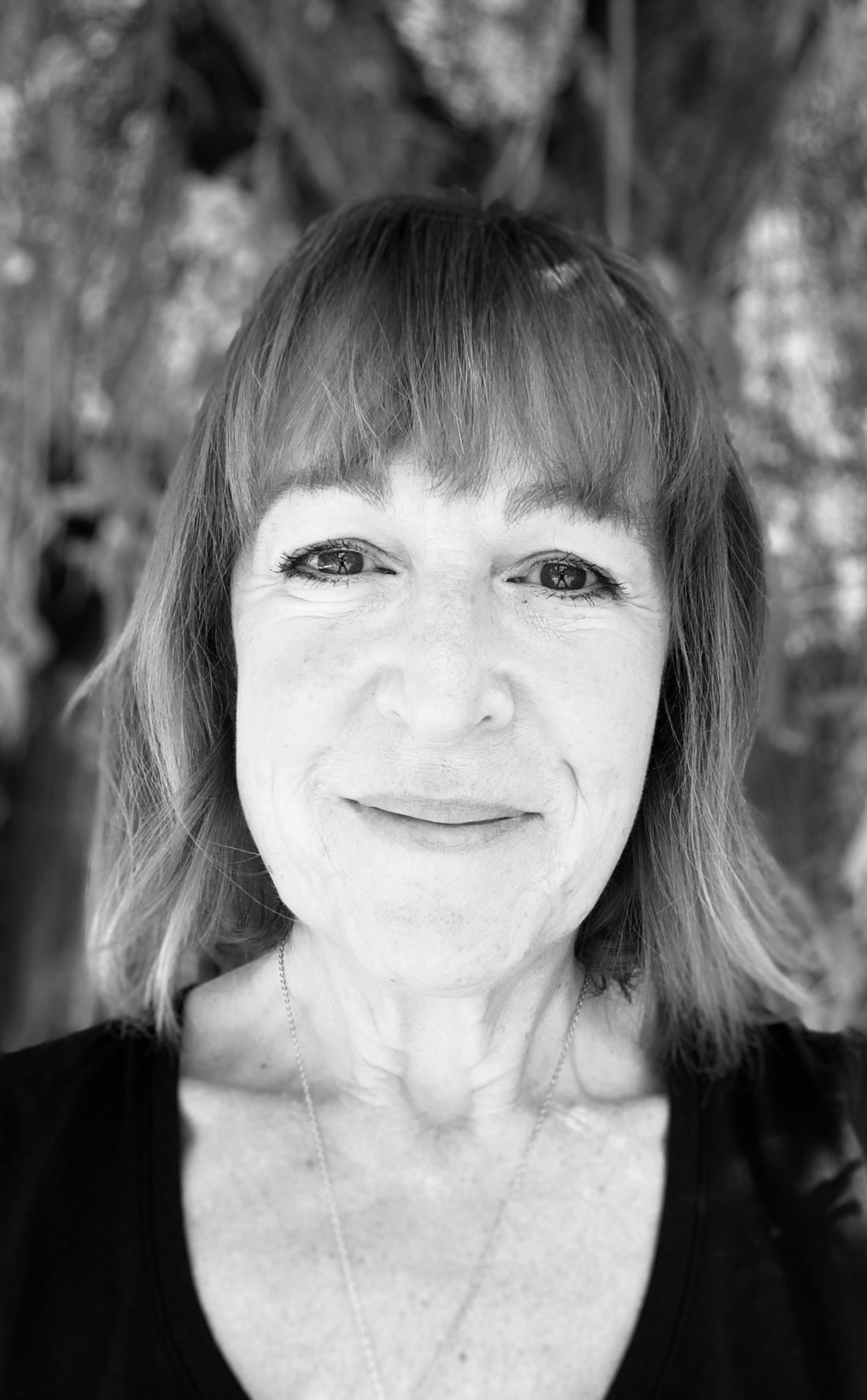 Diane Slater's Instagram, Twitter & Facebook on IDCrawl